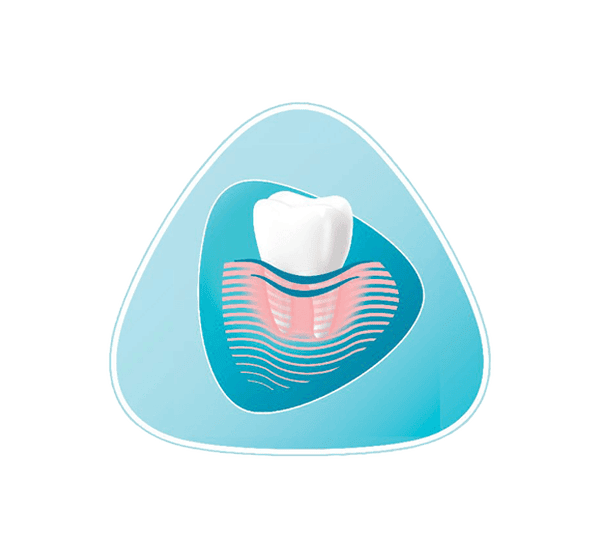 Meridol® Mouthwash, Toothpaste & Toothbrush – Get Healthy Teeth